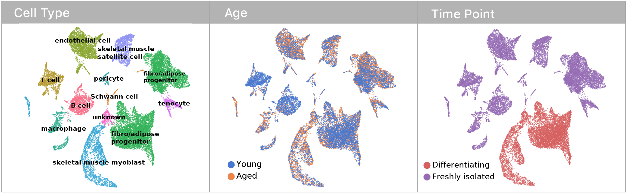 Murine aging cell atlas | Calico research