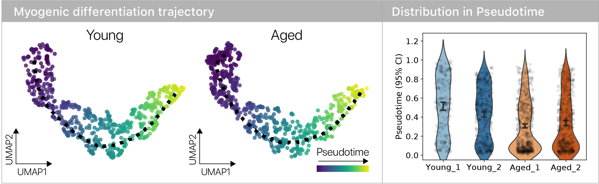 Murine aging cell atlas | Calico research