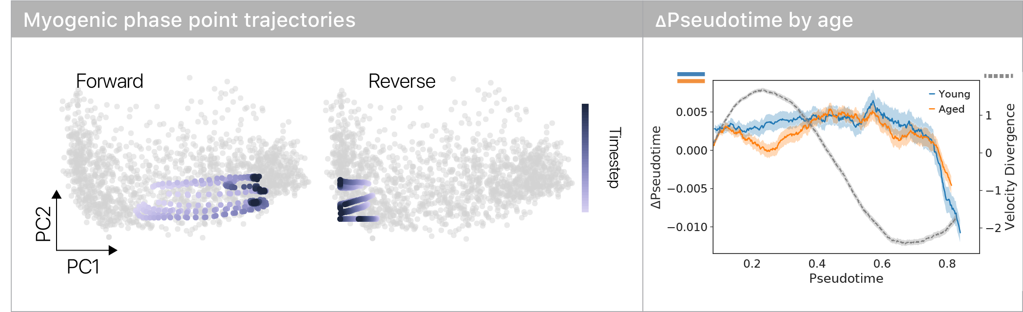 Murine aging cell atlas | Calico research