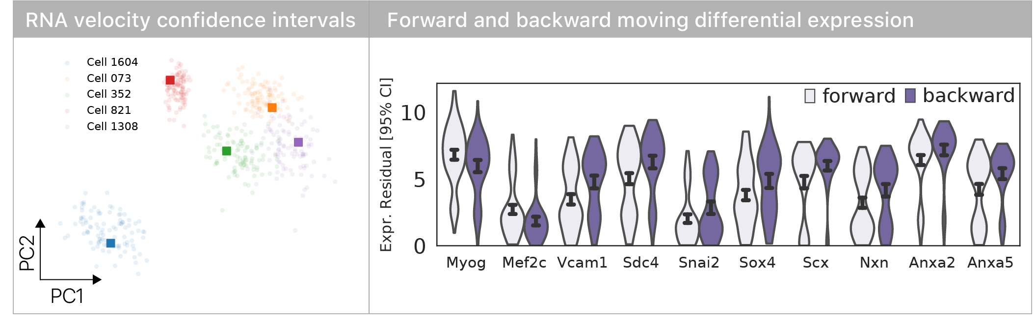 Murine aging cell atlas | Calico research